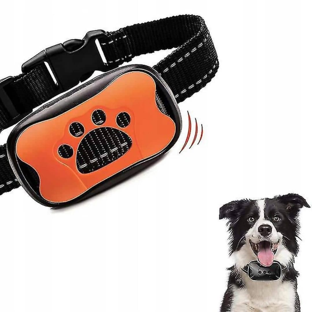 Top 5 Dog Anti-Bark Collars in 2024 2 – BestPickInsider