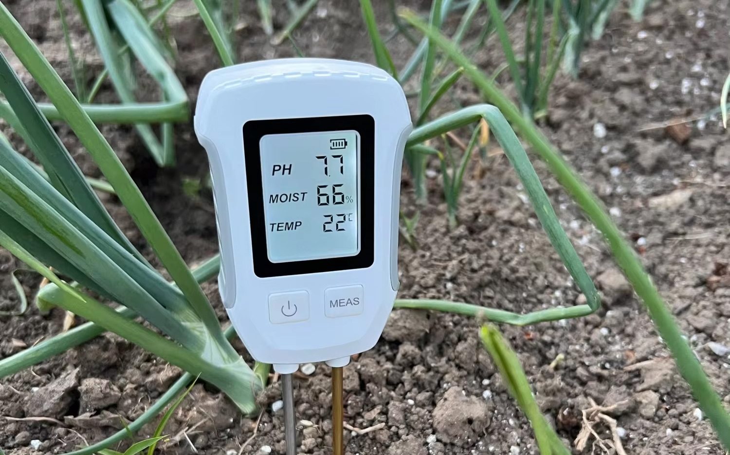Best 5 Soil Thermometers to Transform Your Garden in 2025