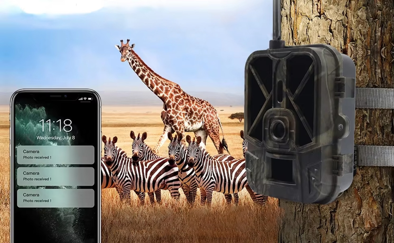 Top 5 Best 4G Trail Cameras: Ultimate Guide for Wildlife Monitoring ...