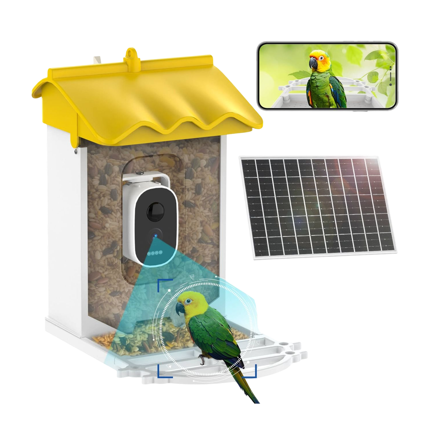 Best 5 Solar Camera Bird Feeders: Transform Your Backyard into a Smart ...