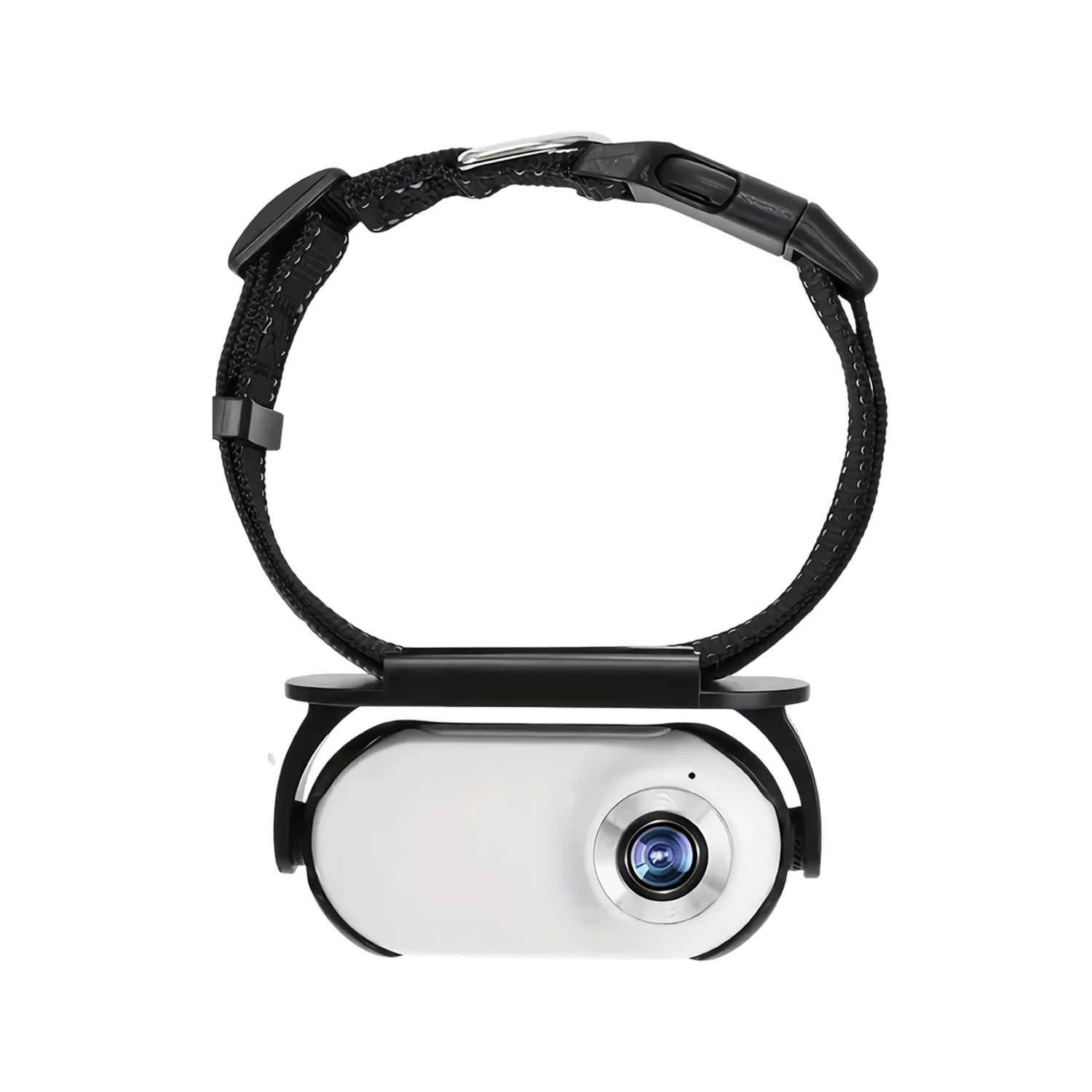 5 Best Cat Collar Cameras of 2025: Never Miss Your Pet's Secret ...