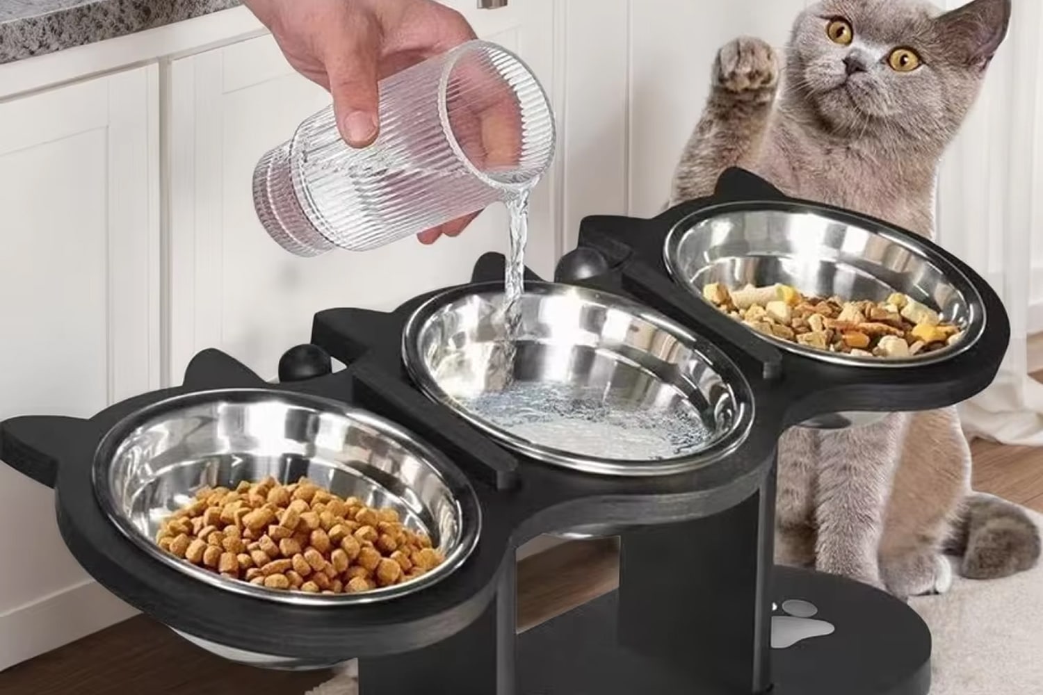 Best 5 Raised Cat Bowls: Eliminate Whisker Fatigue and Improve Your Cat ...