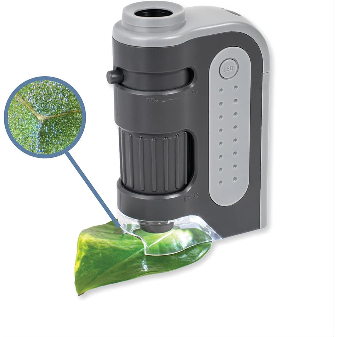 Best 5 Pocket Microscopes: Discover Hidden Worlds Anywhere