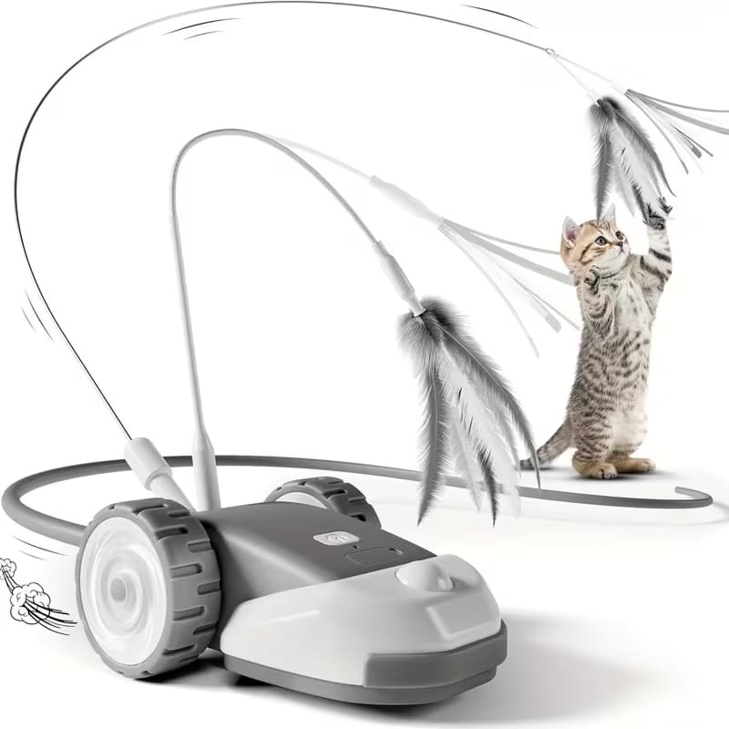 Best 5 Interactive Cat Toys of 2025: Ultimate Entertainment & Exercise ...